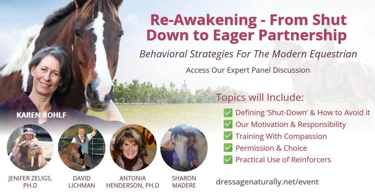 From Shut Down to Eager Partnership - with Karen Rohlf + Experts